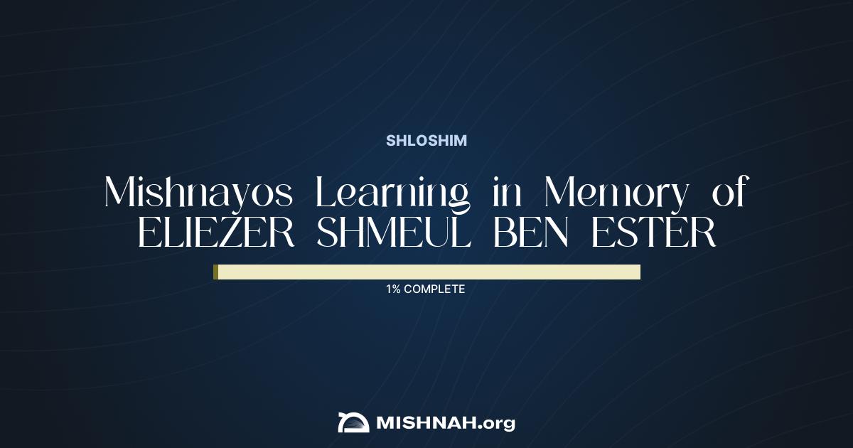 ELIEZER SHMEUL BEN ESTER Mishnah Learning Chart | Mishnah.org