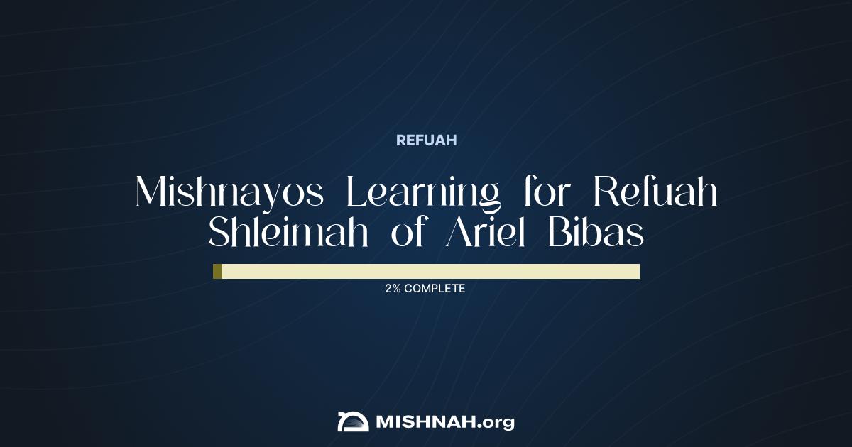 Ariel Bibas Mishnah Learning Chart | Mishnah.org