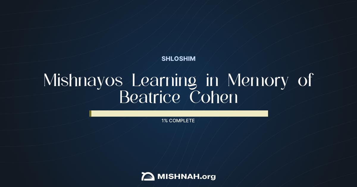 Beatrice Cohen Mishnah Learning Chart | Mishnah.org