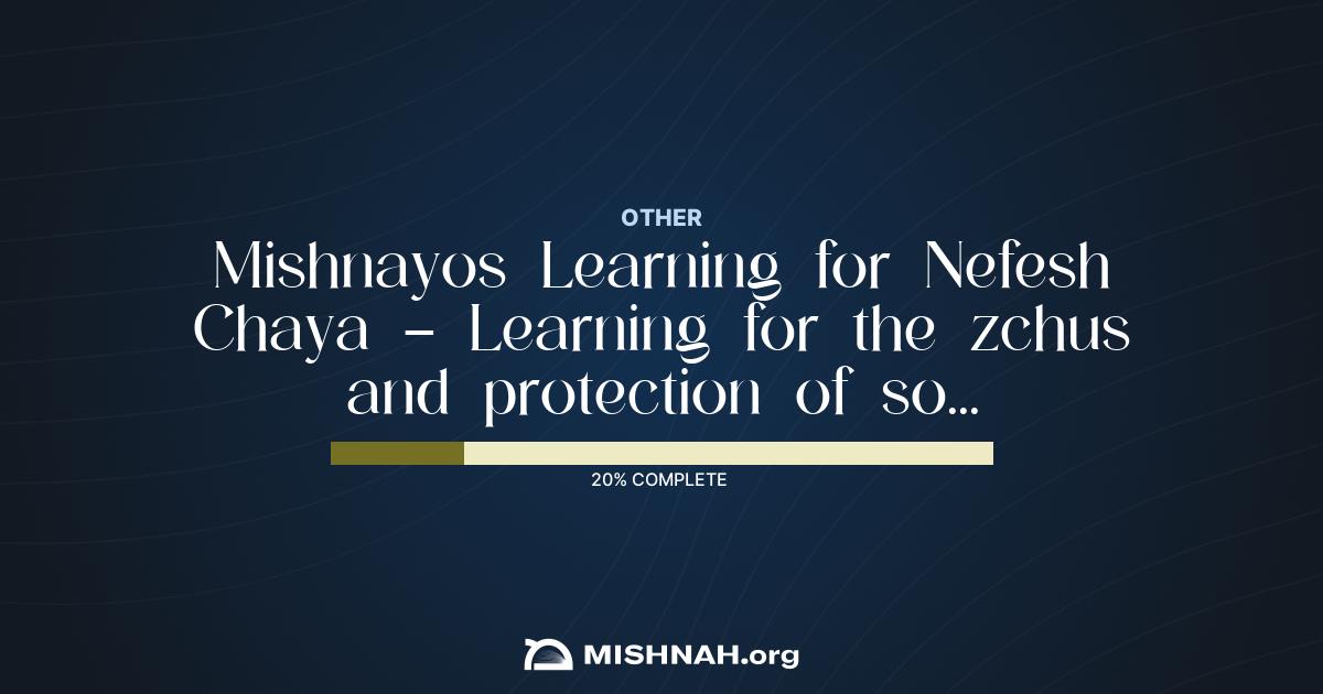Nefesh Chaya - Learning for the zchus and protection of soldiers ...