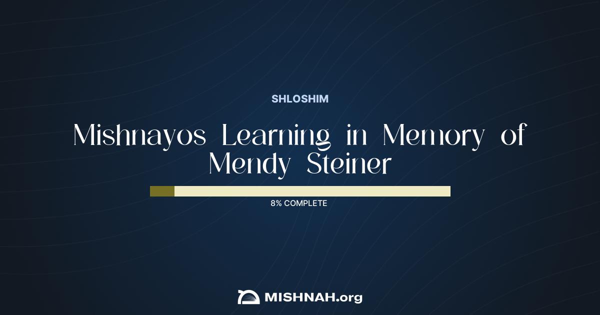 Mendy Steiner Mishnah Learning Chart | Mishnah.org